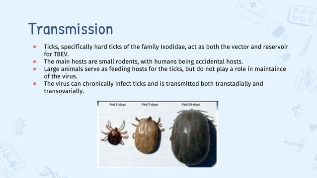 TICK BORNE ENCEPHALITIS | PPTX