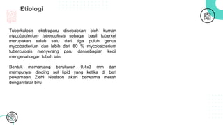 TB Ekstrapulmonal pada manusia pttttssssssss | PPTX