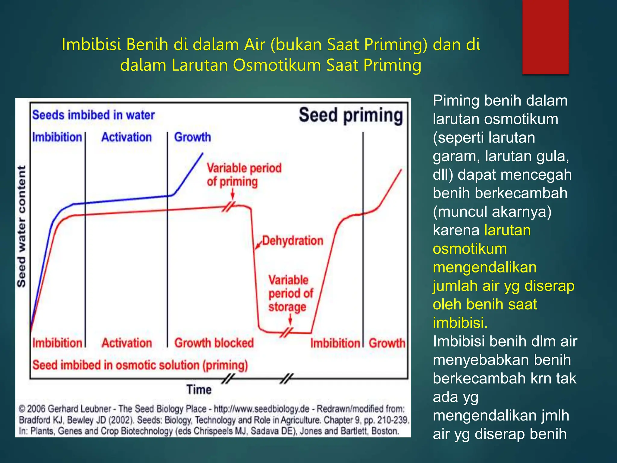 T Benih 06-07 KEMUNDURAN_dan INVIGORASI BENIH.pptx