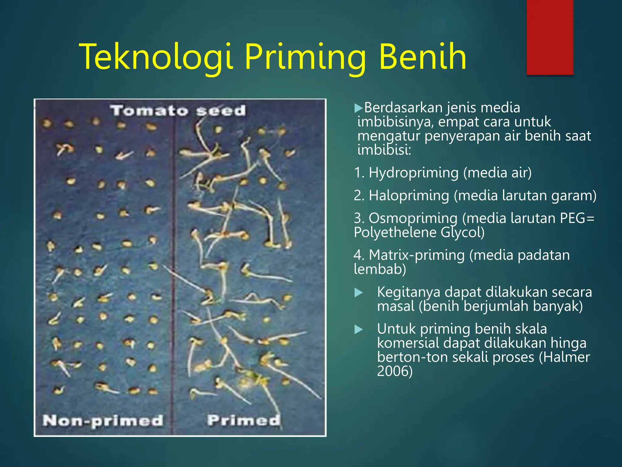 T Benih 06-07 KEMUNDURAN_dan INVIGORASI BENIH.pptx