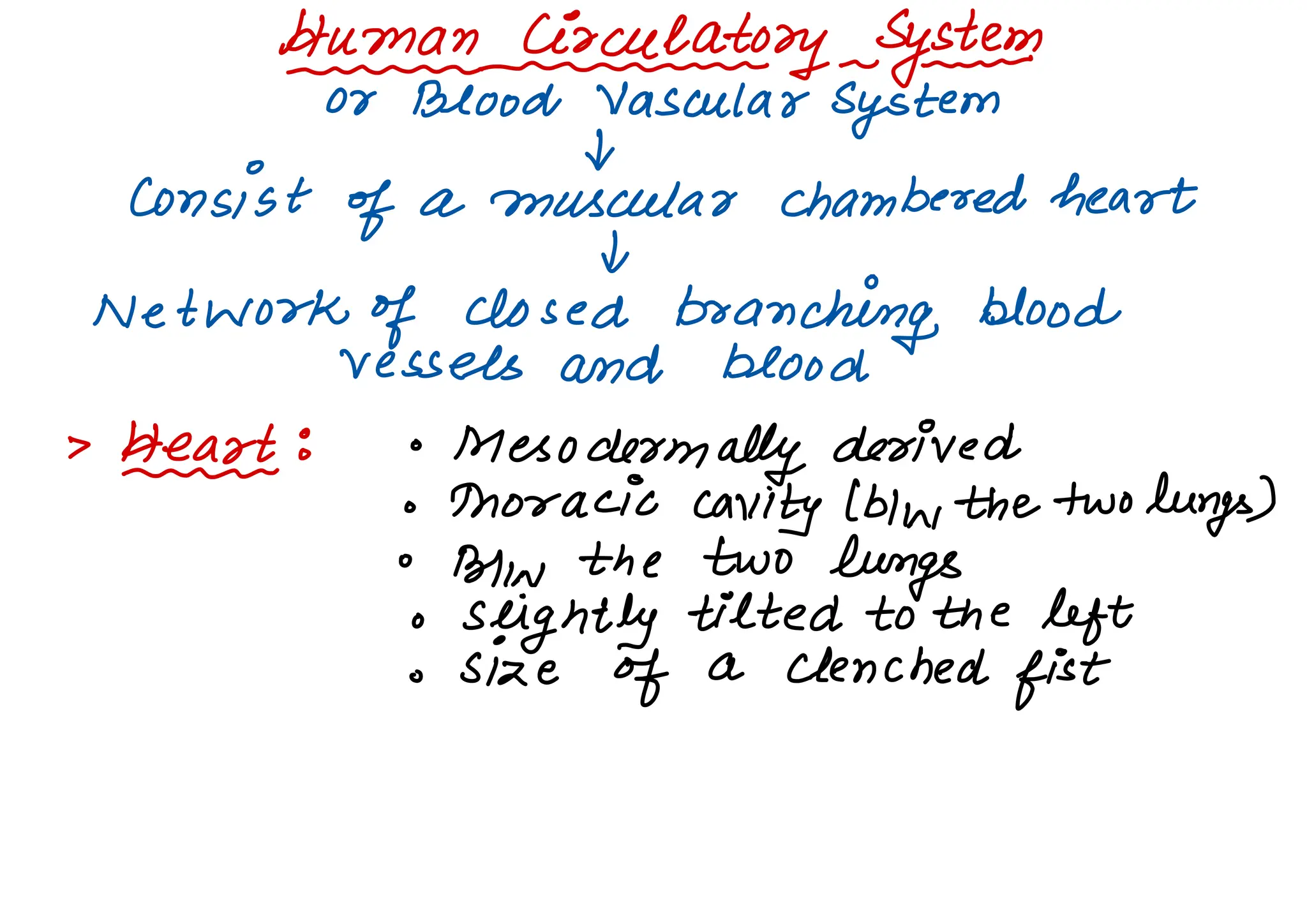 Body_Fluids_And_Circulation class 11th biology | PDF