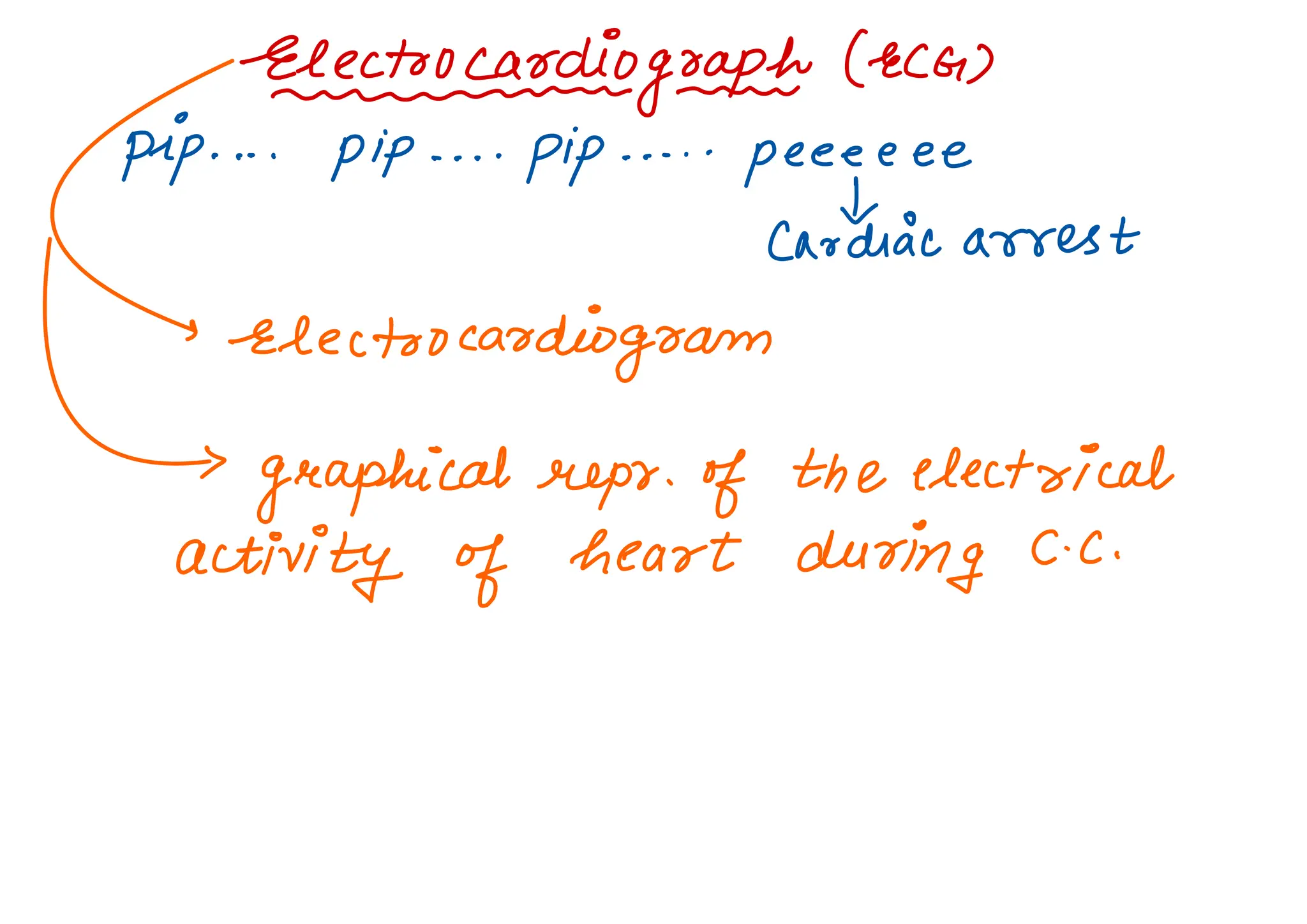 Body_Fluids_And_Circulation class 11th biology | PDF