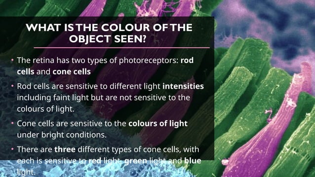 Text ook science slide F3 CHAPTER 1.pptx