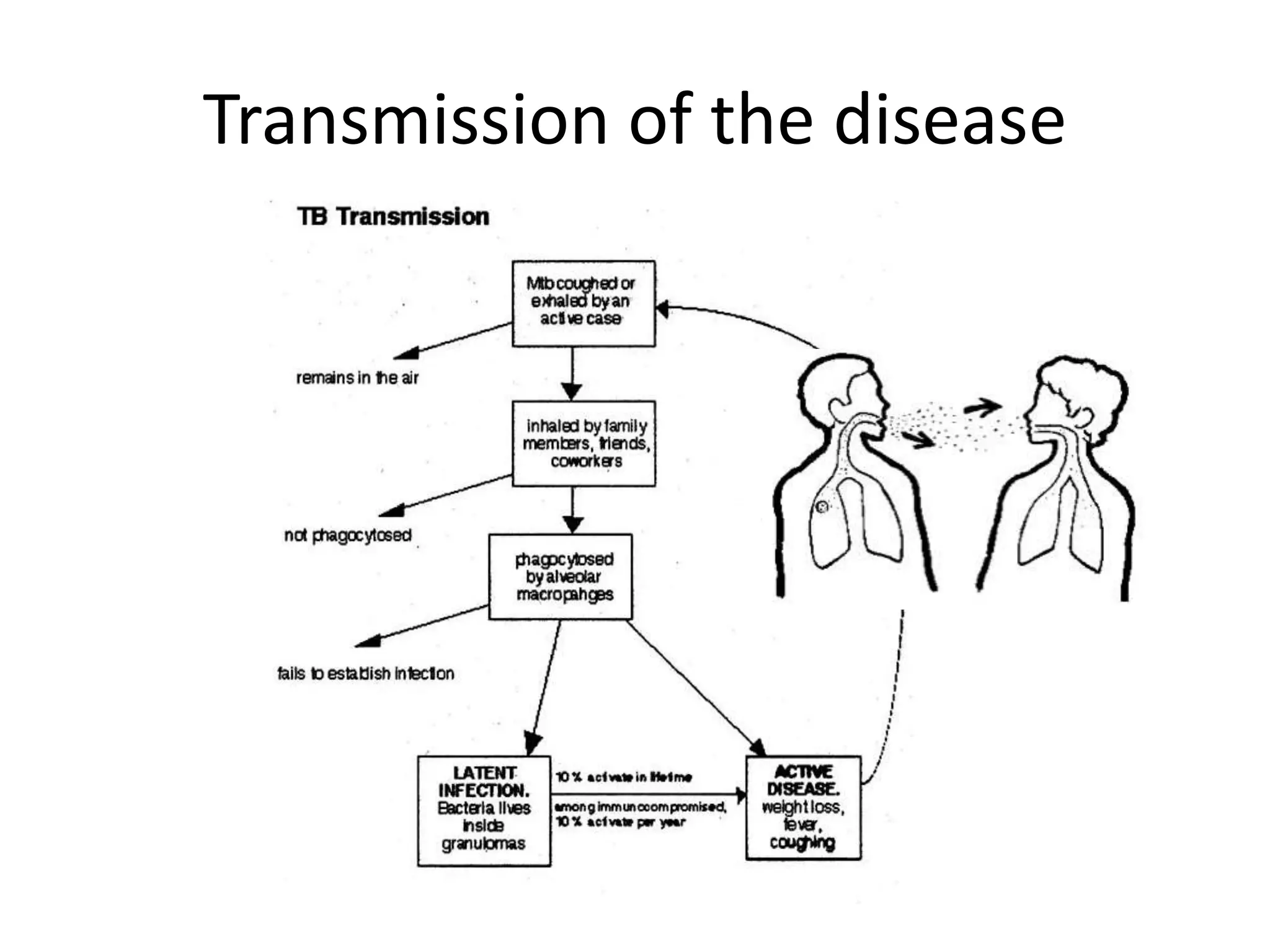 Pharmacotherapy of Tuberculosis(First Class) | PPT