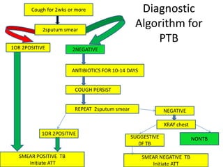 Pharmacotherapy of Tuberculosis(First Class) | PPT