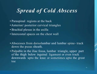 TB & fungal infection of the spine adnan al bannna | PPTX