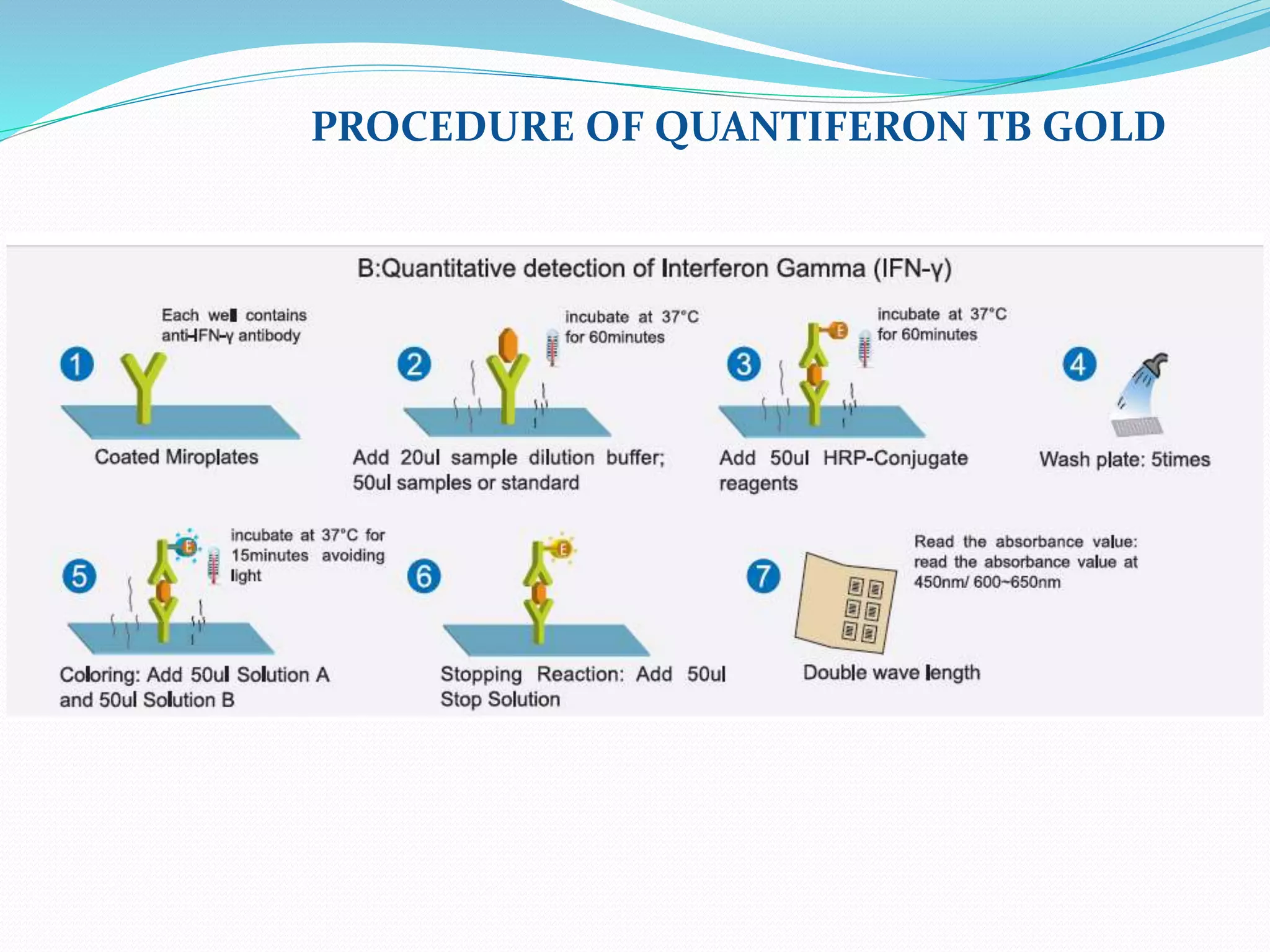 QUANTIFERON TB GOLD | PPTX
