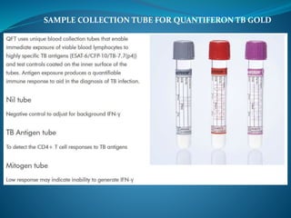 QuantiFERON TB Gold Plus Blood Collection Guideline, 48% OFF