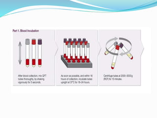 QuantiFERON TB Gold Plus Blood Collection Guideline, 48% OFF