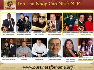 Cơ hội kinh doanh Organo Gold - Organogold2u.net