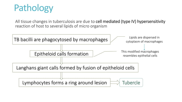 Tuberculosis of Hip | PPT