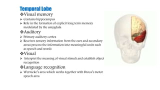 Traumatic Brain Injury | PPT