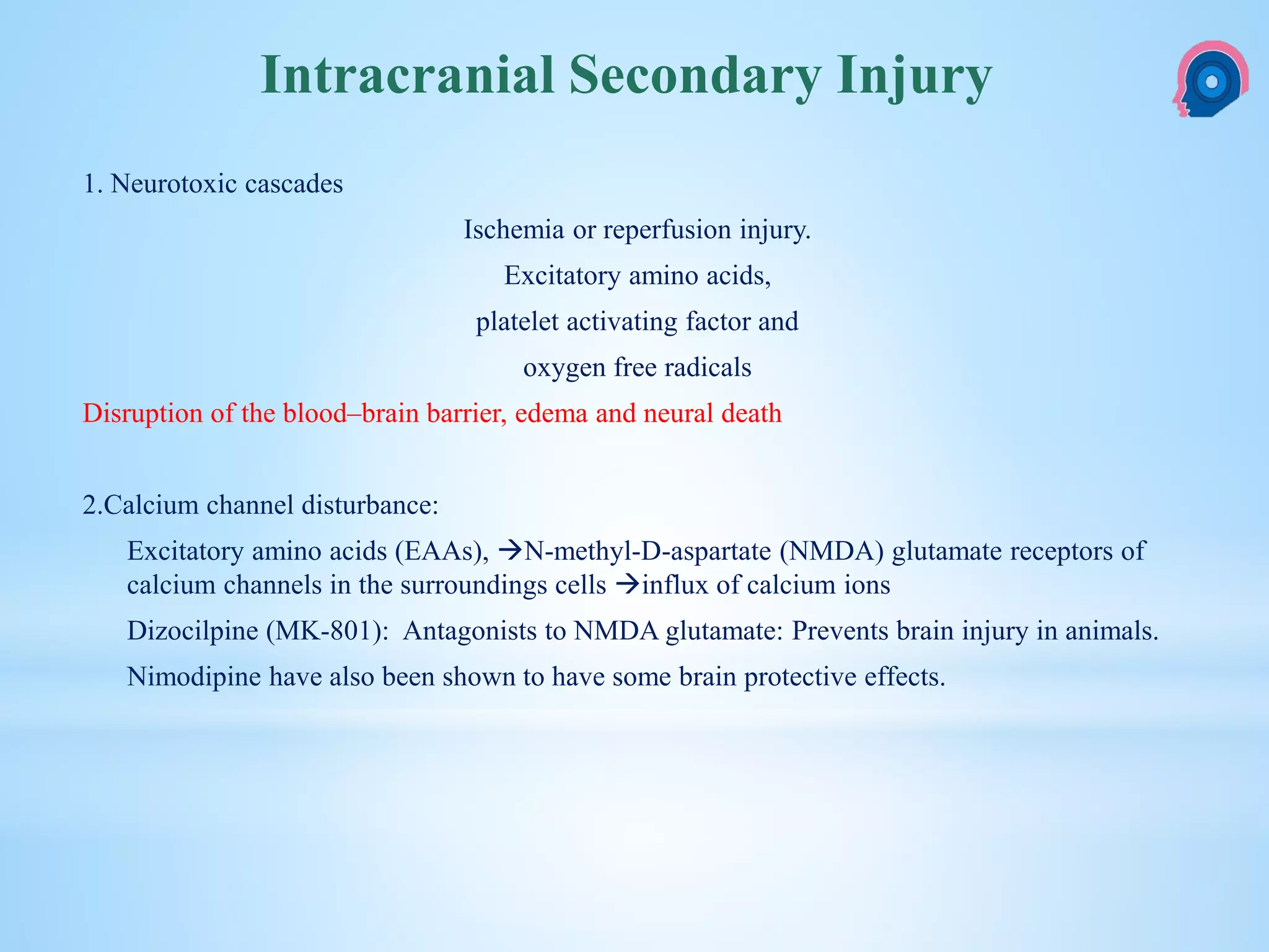 Head Injury AKA Traumatic Brain Injury | PPTX