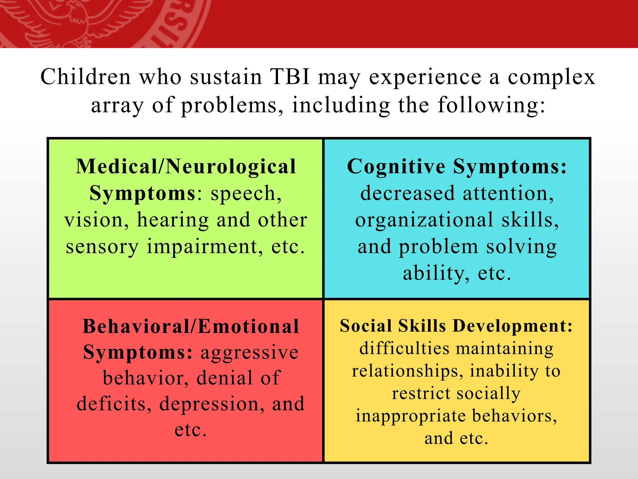 Traumatic Brain Injury(TBI) based on IDEA.pptx.pptx