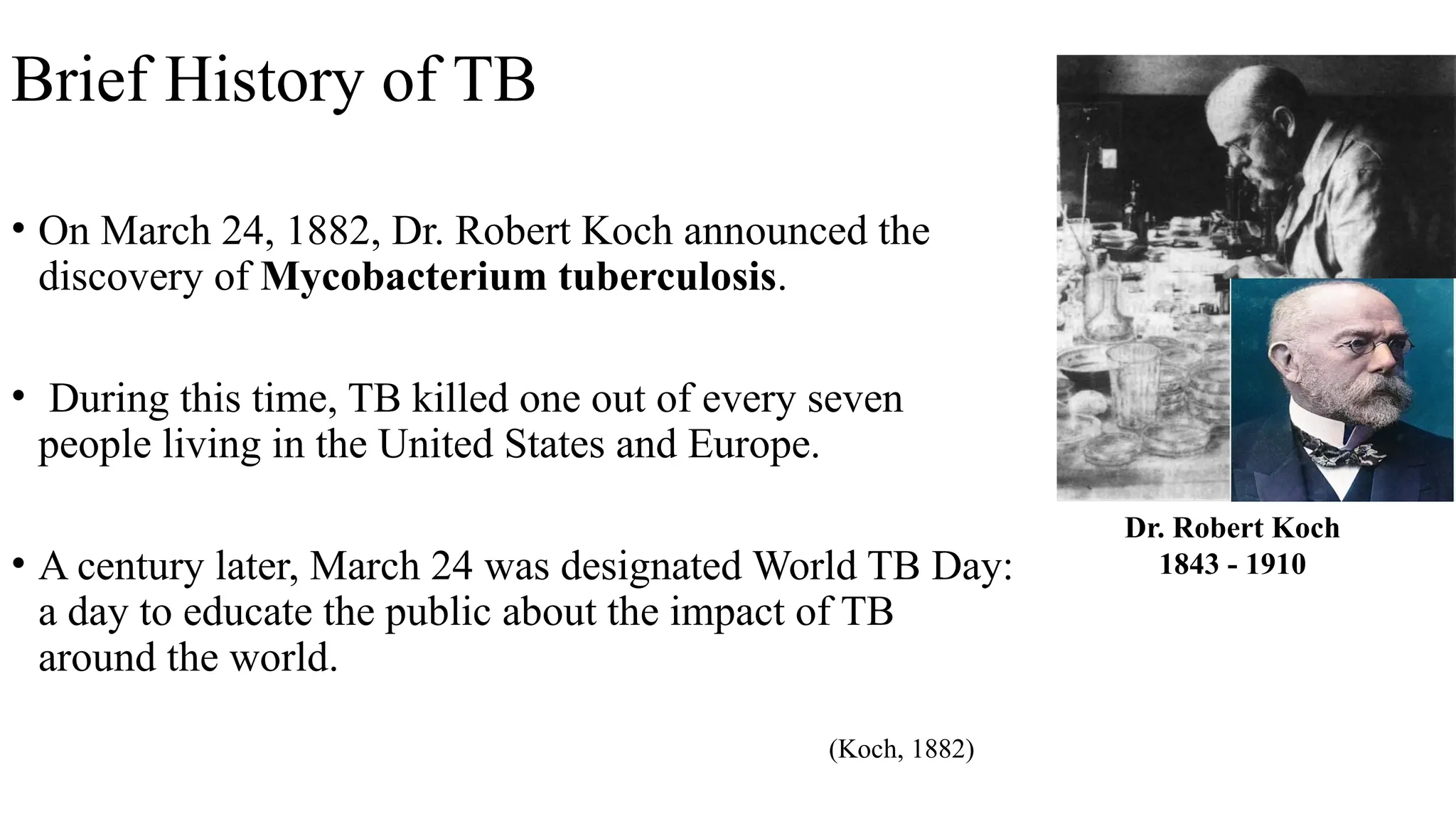 An Introduction to tuberculosis (basic things to know) .pptx