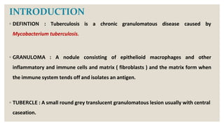 TB INTRO.pptx tuberculosis medocinal chemistry | PPT