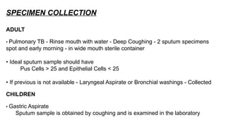 Tb investigation and lab testing diagnosis and process all over the ...