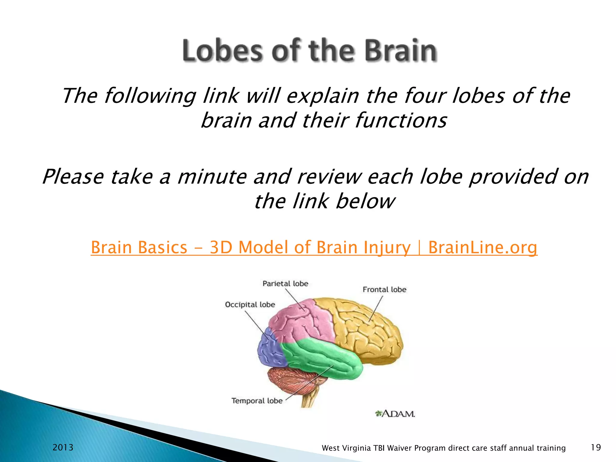 Tbi overview | PPT