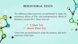 TBI Presentation 02 Updated.pptx
