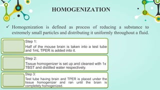 TBI Presentation 02 Updated.pptx