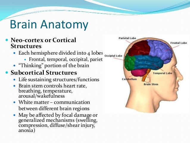 Tbi rehab family_lecture