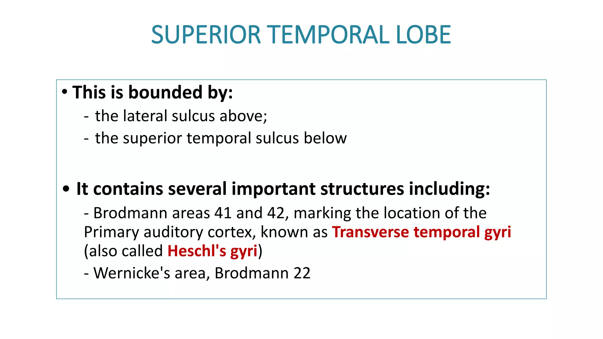 Traumatic Brain Injury to temporal lobe and cognitive rehabilitation | PPT