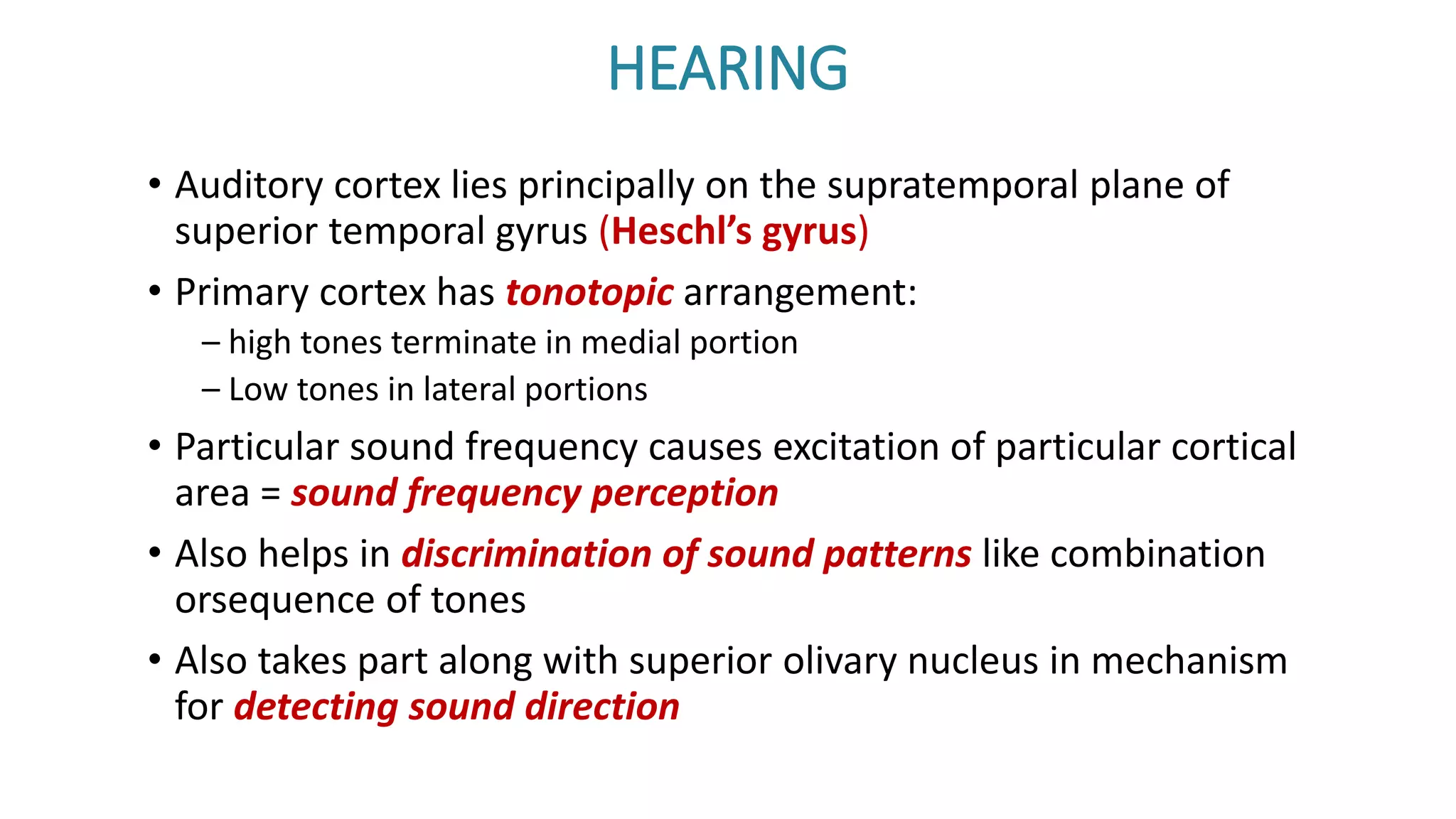 Traumatic Brain Injury to temporal lobe and cognitive rehabilitation | PPT