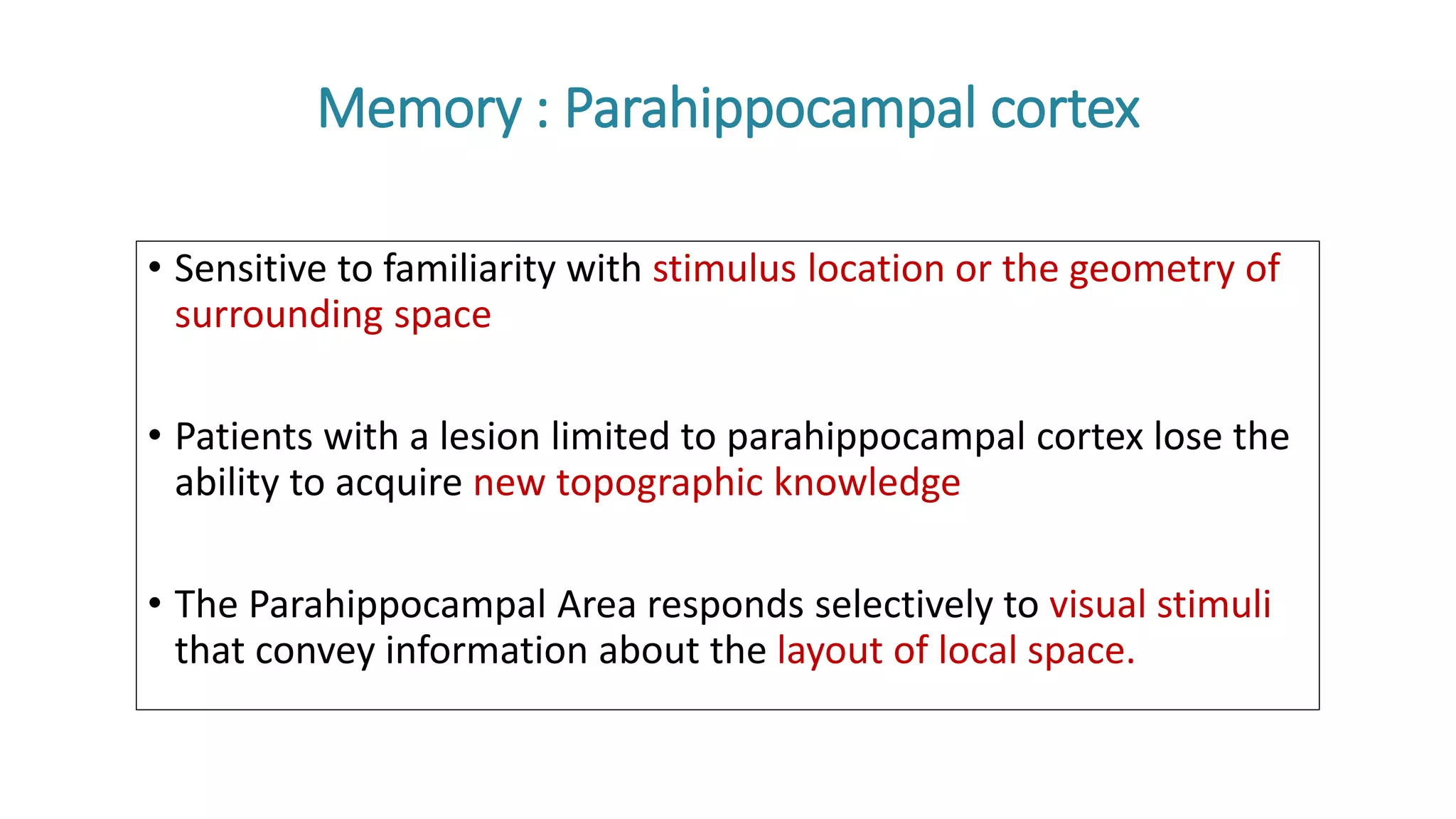 Traumatic Brain Injury to temporal lobe and cognitive rehabilitation | PPT