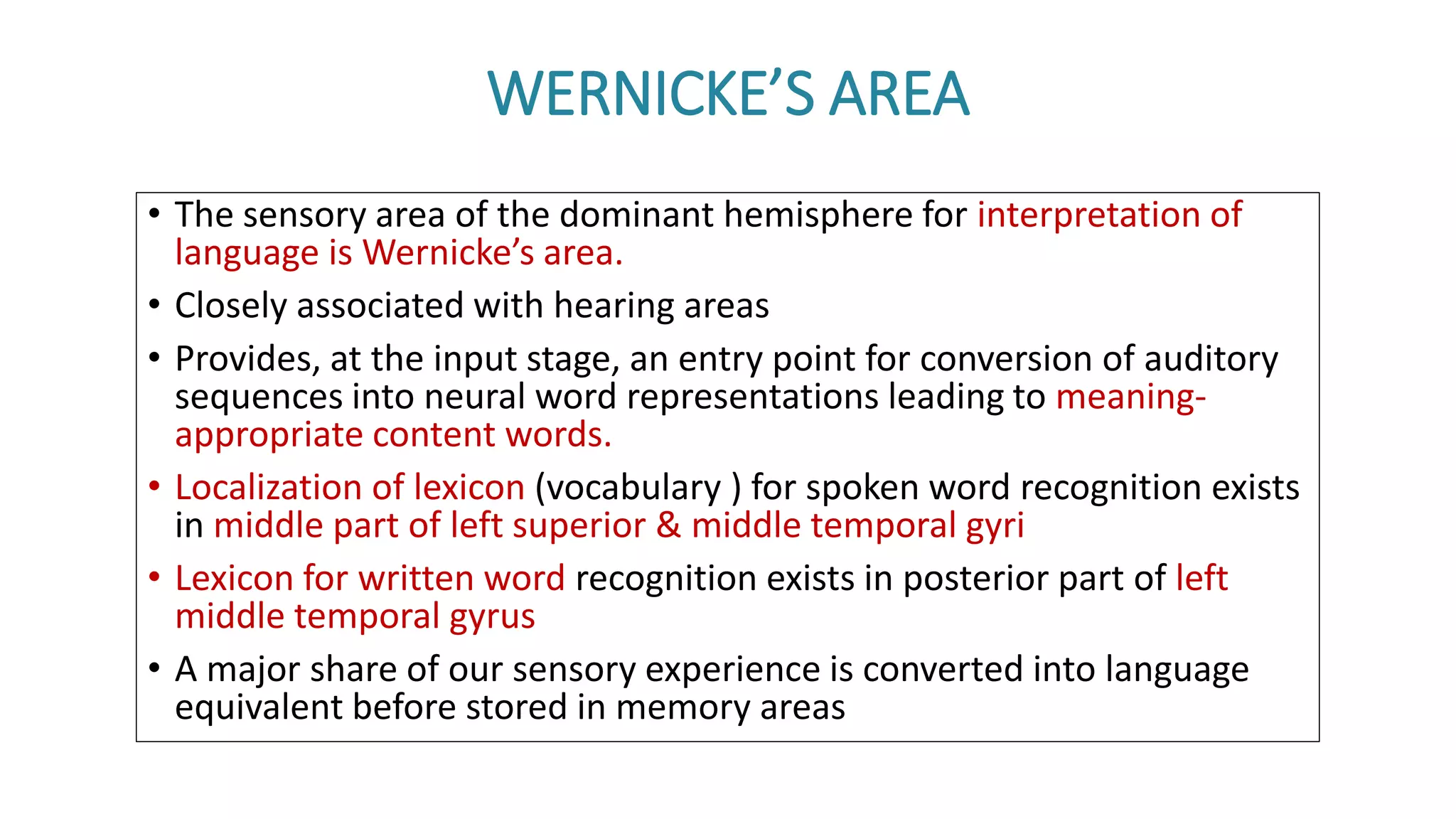 Traumatic Brain Injury to temporal lobe and cognitive rehabilitation | PPT