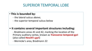 Traumatic Brain Injury to temporal lobe and cognitive rehabilitation | PPTX