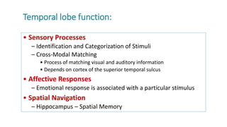 Traumatic Brain Injury to temporal lobe and cognitive rehabilitation | PPTX