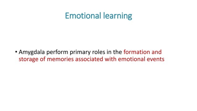 Traumatic Brain Injury to temporal lobe and cognitive rehabilitation | PPT