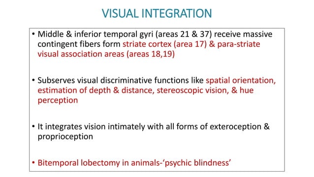 Traumatic Brain Injury to temporal lobe and cognitive rehabilitation | PPT