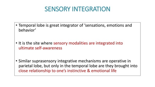 Traumatic Brain Injury to temporal lobe and cognitive rehabilitation | PPT