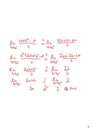 Calculus 205 Continuity and Differentiability | PDF
