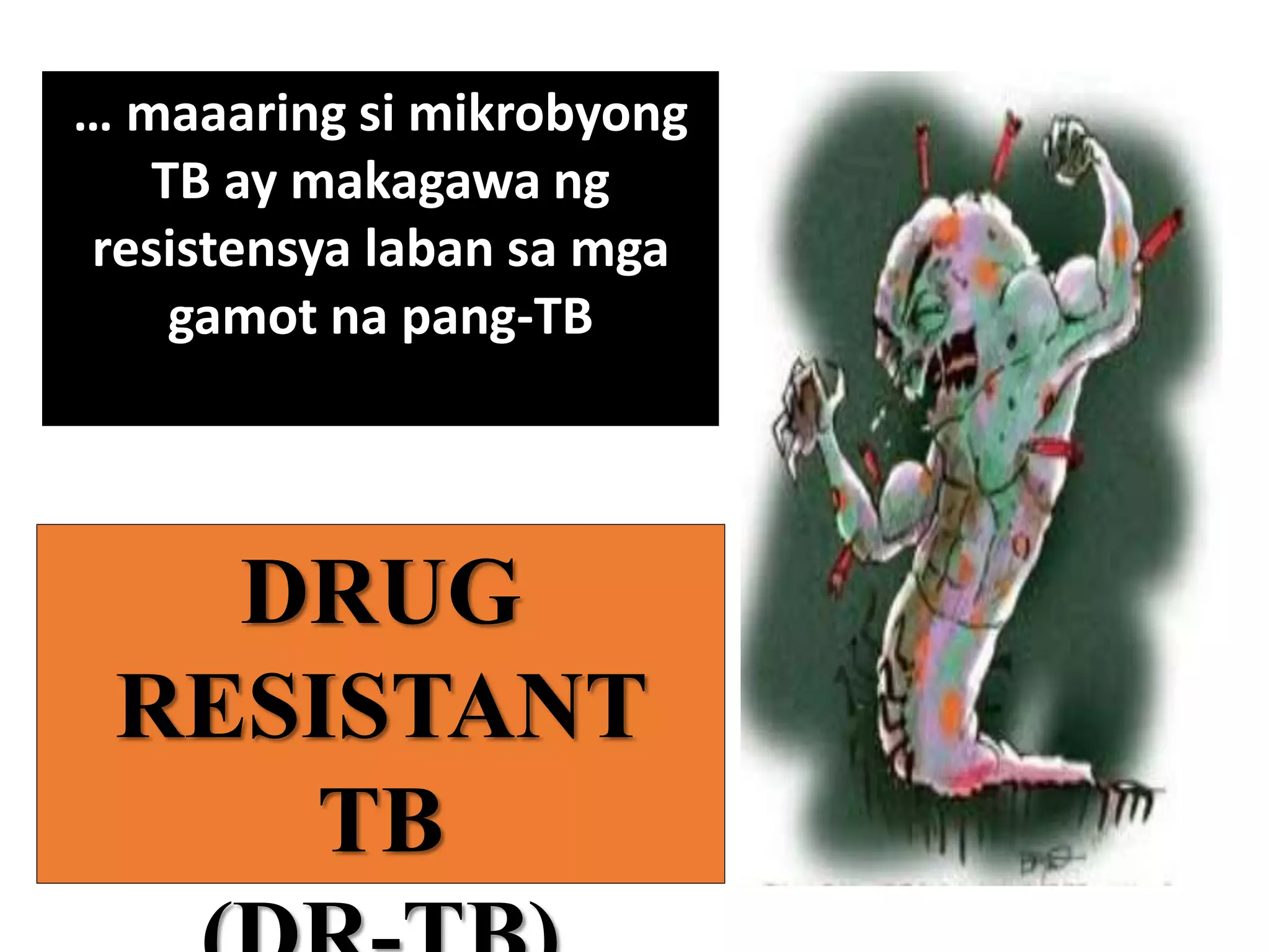 TB Lay Fora MRAS.pptx