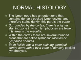 Tb lymphnode, tuberculoid and lepromatous leprosy | PPTX