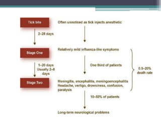 tick borne encephalitis | PPTX