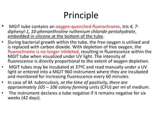 Tb newer diagnostics | POTX