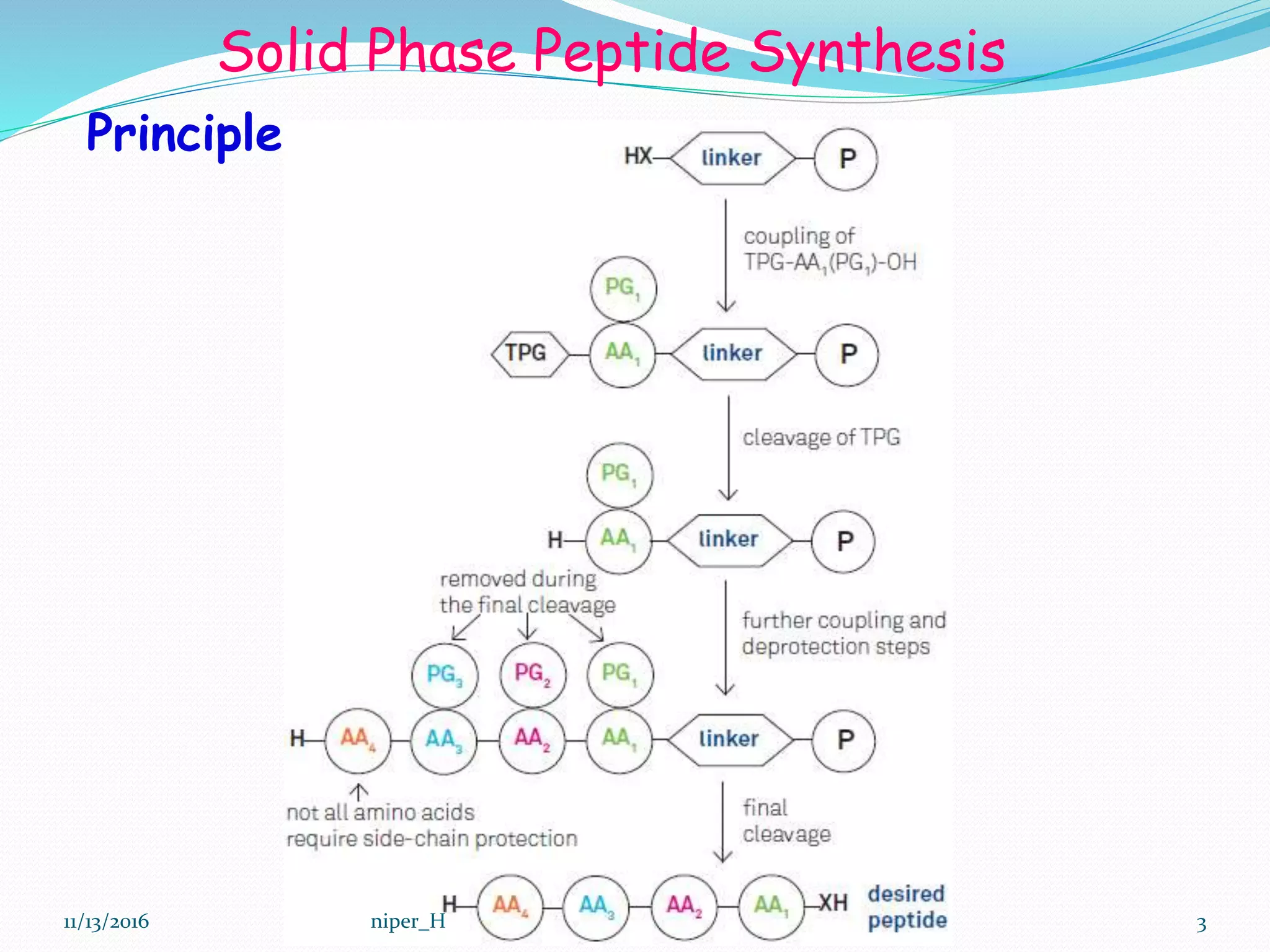 T boc fmoc protocols in peptide synthesis | PPTX
