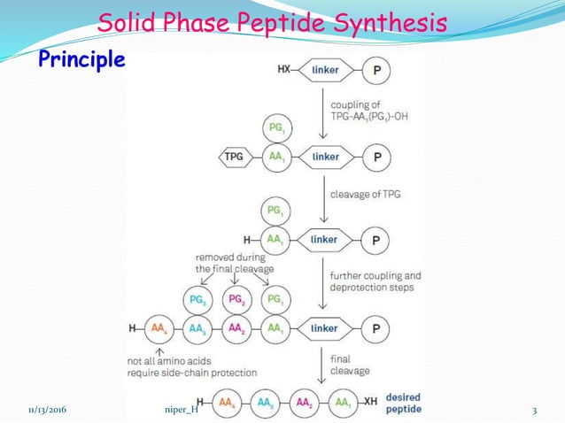 T boc fmoc protocols in peptide synthesis | PPTX