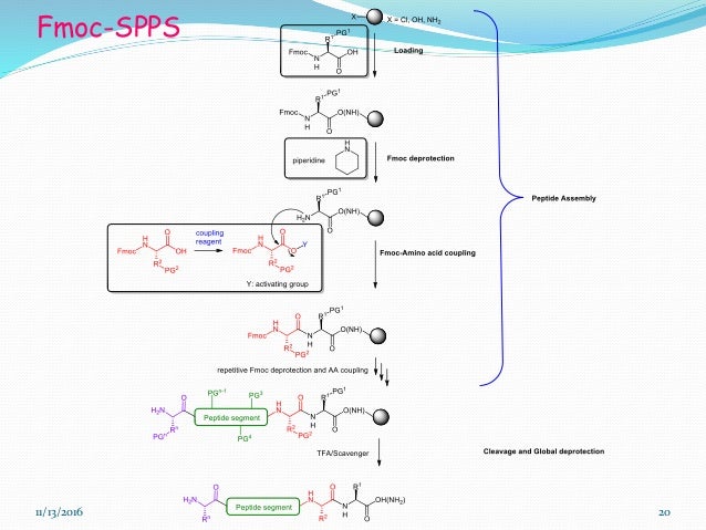 T boc fmoc protocols in peptide synthesis