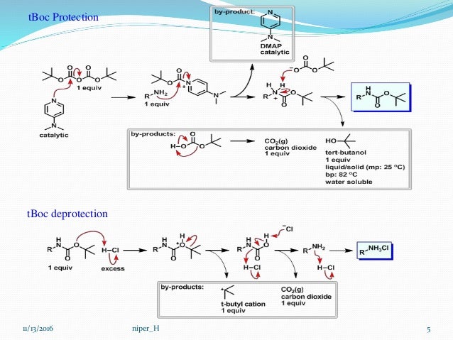 T boc fmoc protocols in peptide synthesis
