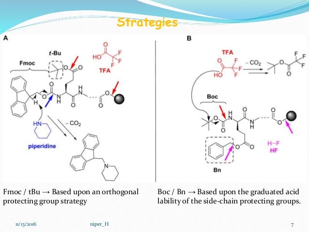 T boc fmoc protocols in peptide synthesis
