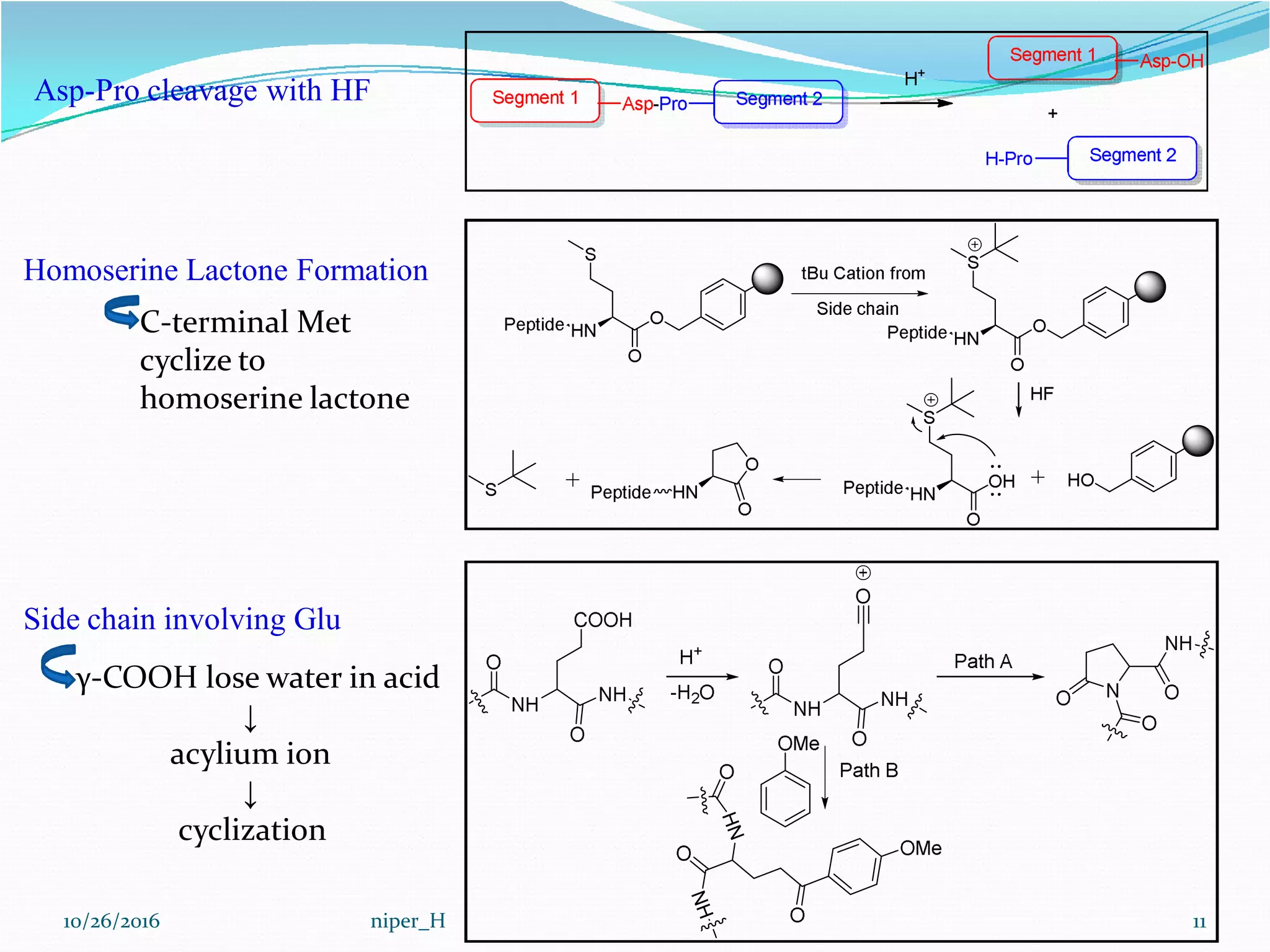 tboc fmoc protocol in solid phase peptide synthesis | PDF