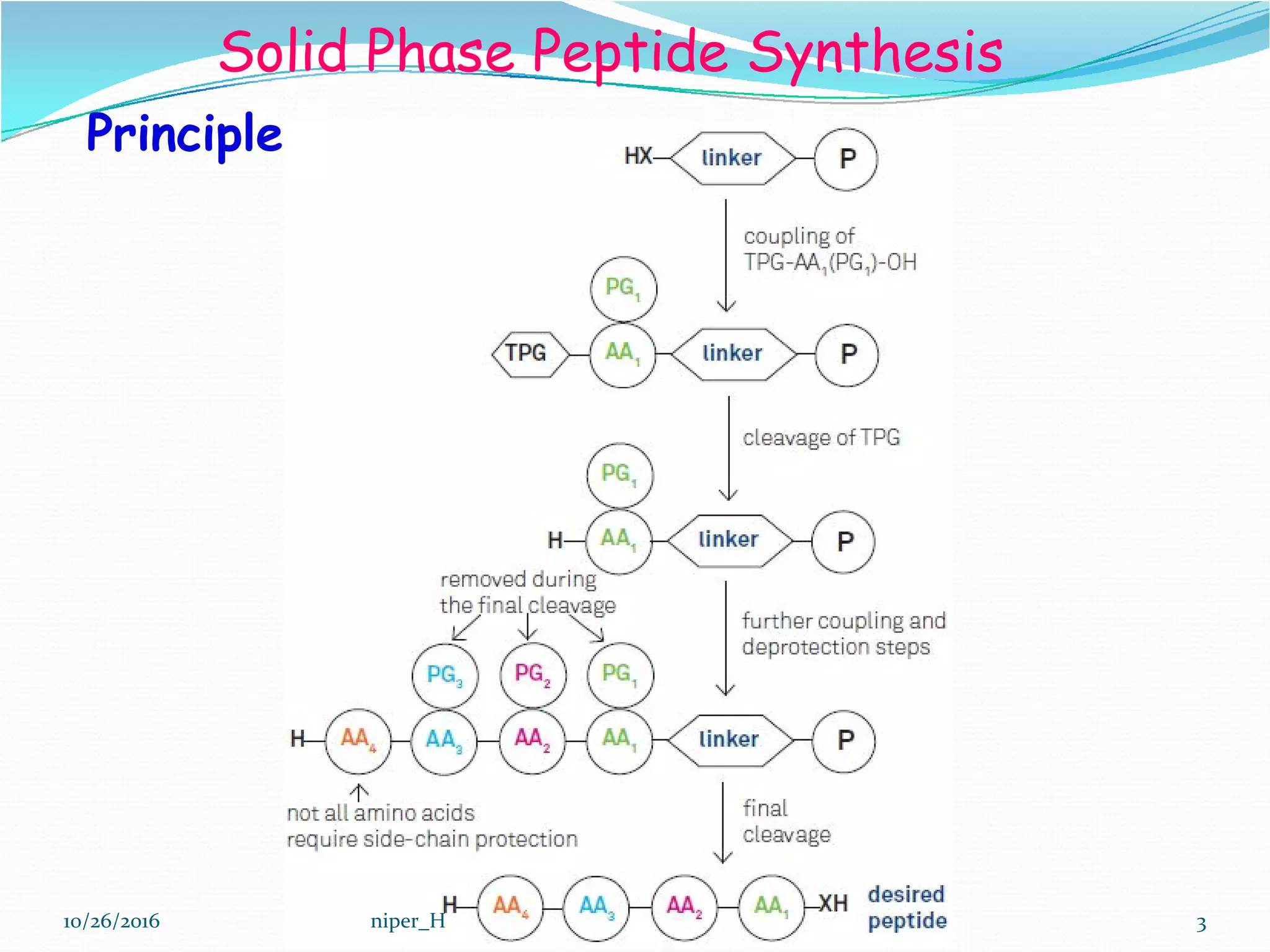 tboc fmoc protocol in solid phase peptide synthesis | PDF