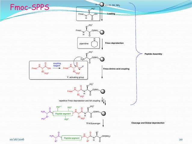 tboc fmoc protocol in solid phase peptide synthesis | PDF