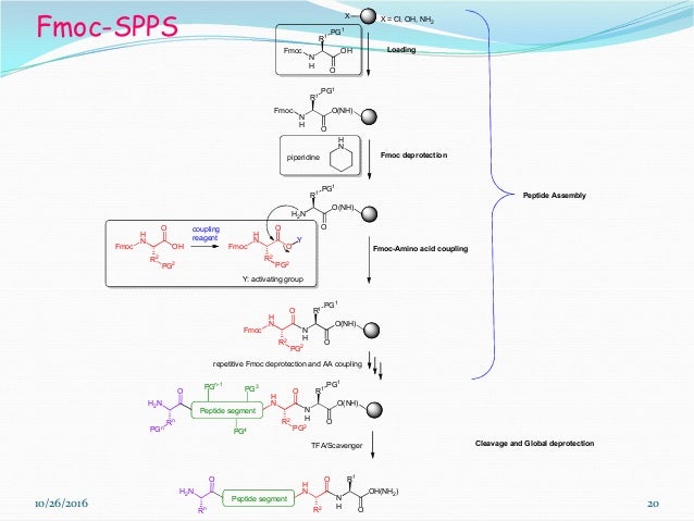 tboc fmoc protocol in solid phase peptide synthesis