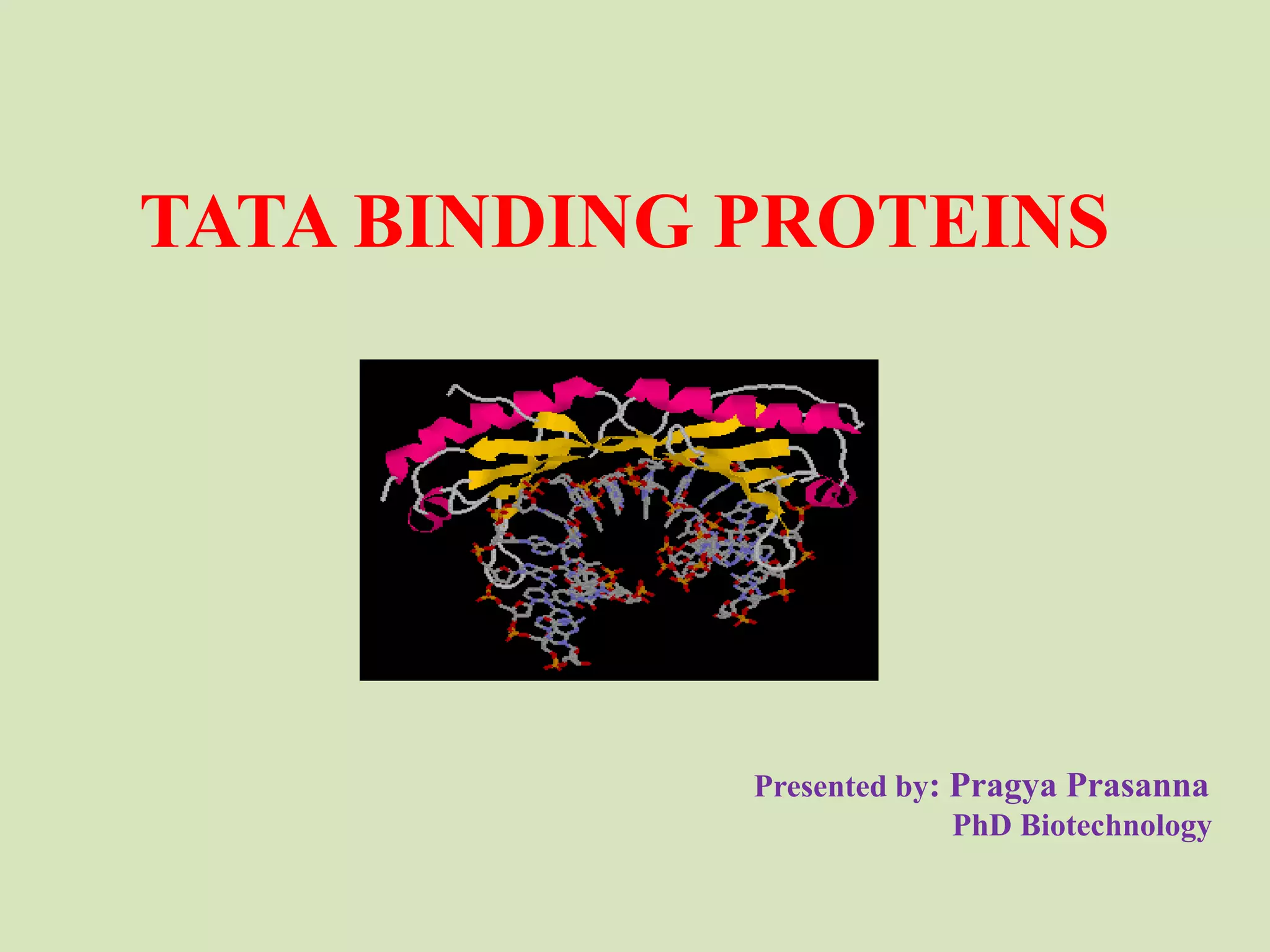 tata binding protein | PPTX