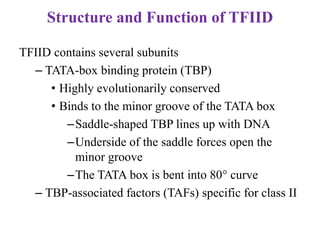 tata binding protein | PPTX